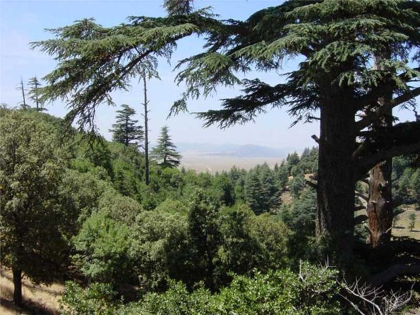 The Ultimate Guide to Hiking in Morocco - Friendly Morocco.